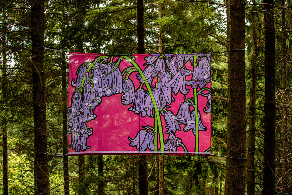 Graphic Rewilding | Rewilding Consciousness | Forest of Dean