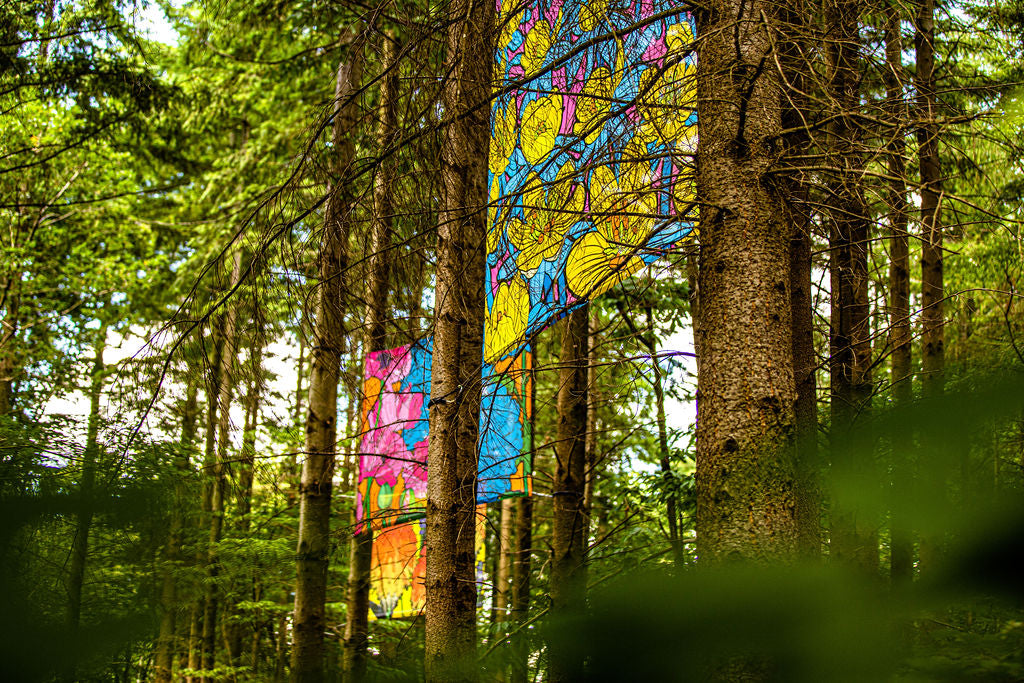 Graphic Rewilding | Rewilding Consciousness | Forest of Dean